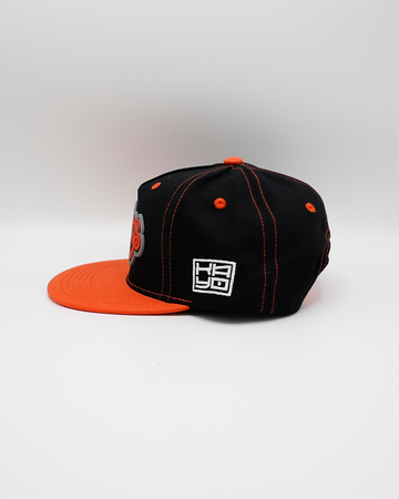 Rockford IceHogs – CBH Shop