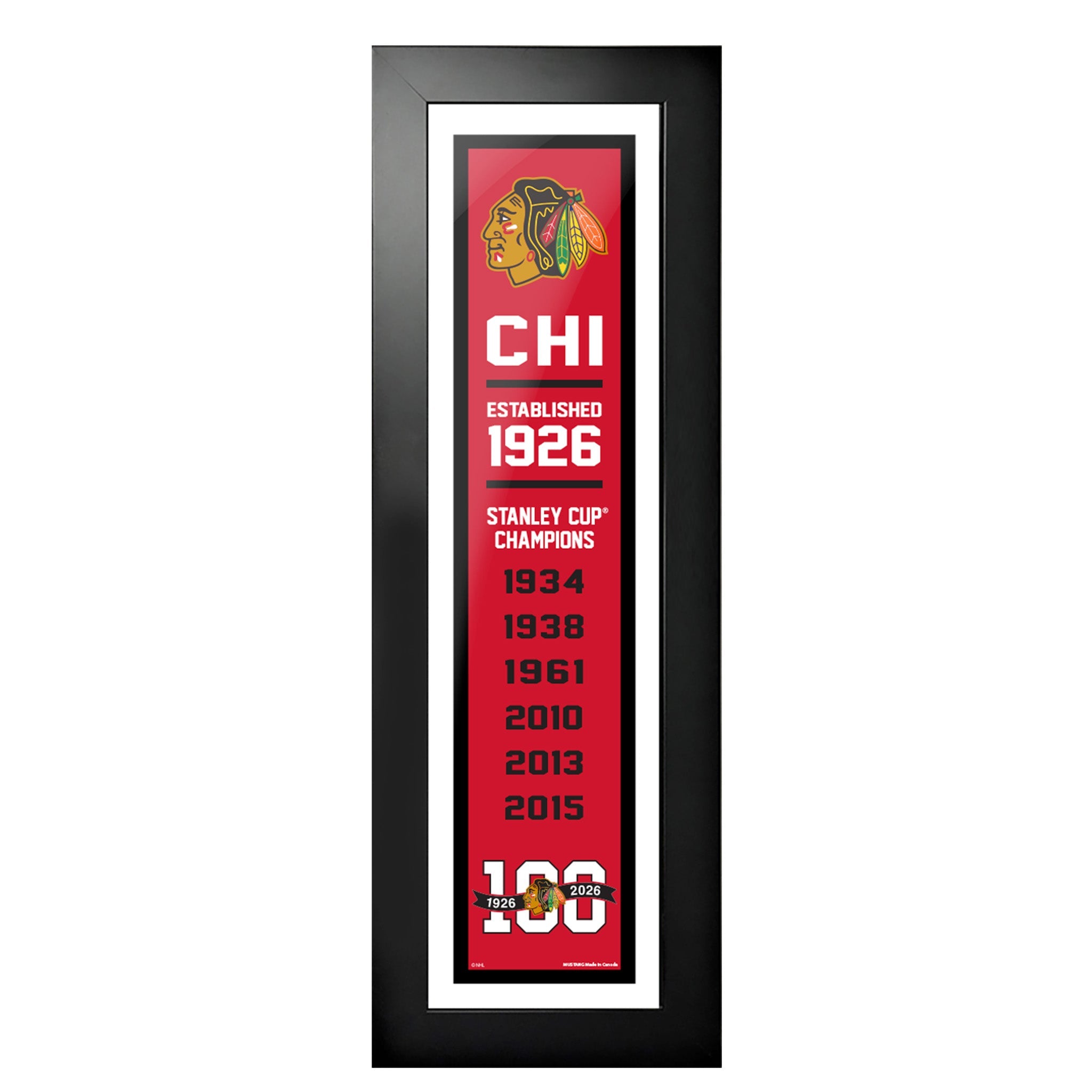Chicago Blackhawks Centennial Frame Dynasty – CBH Shop